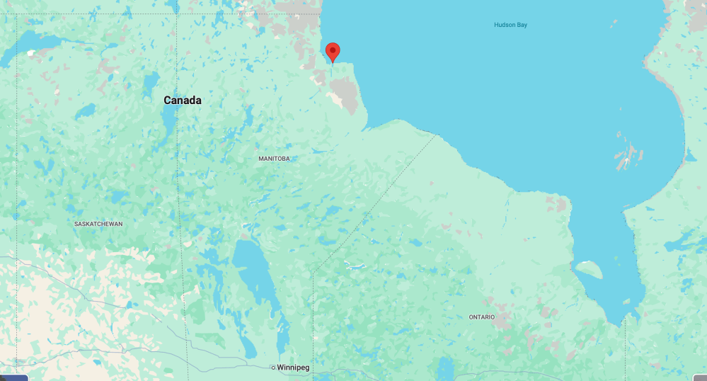 Churchill, Manitoba: Polar Bear Capital of the World – AvoGoodMeal